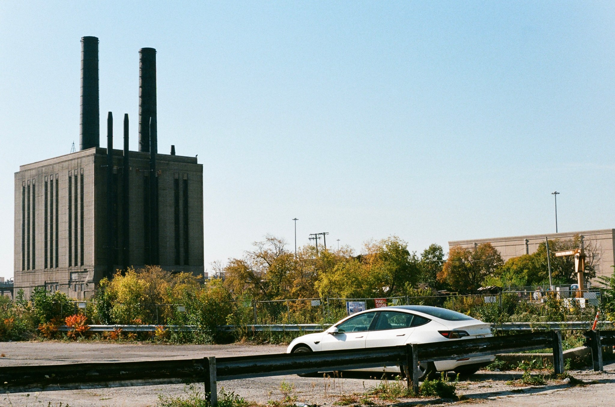 Carly Behm – Film photographer, writer – Photographer and Writer