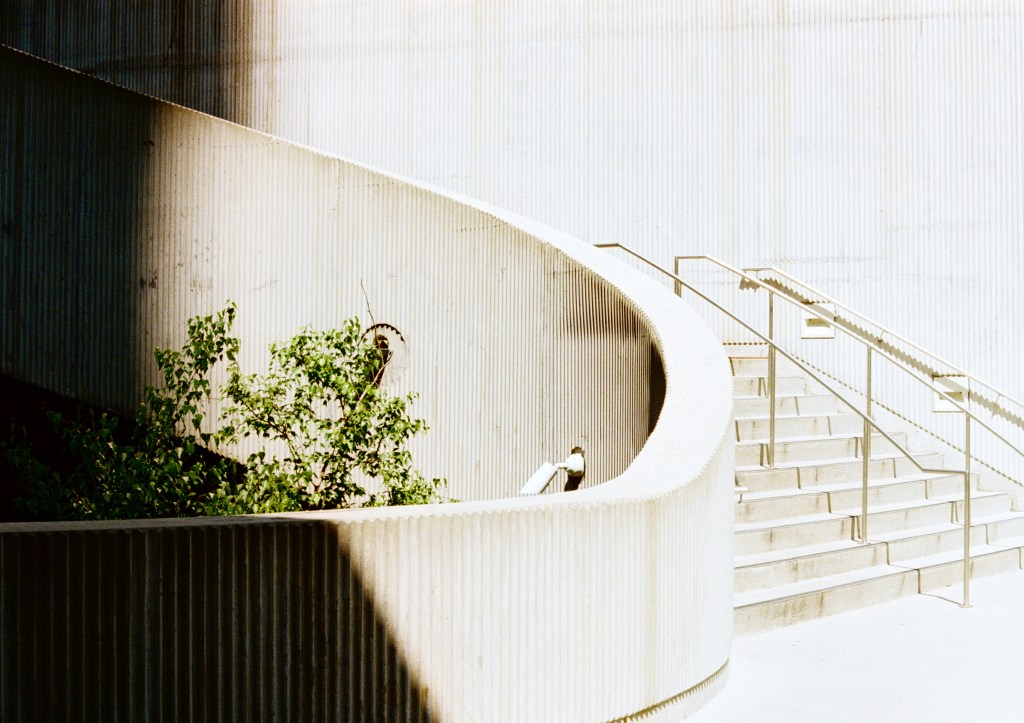 Carly Behm – Film photographer, writer – Photographer and Writer